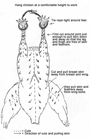 How to skin a chicken | Avian Aqua Miser