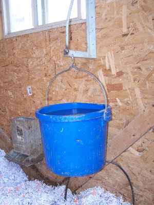 Heated chicken bucket waterer good to below | Avian Aqua Miser