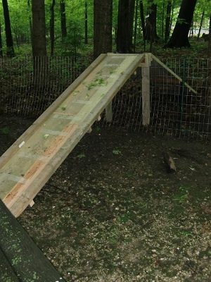 Chicken ramps | Avian Aqua Miser