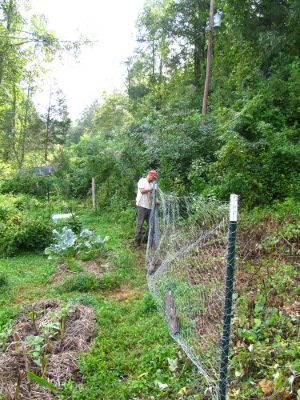 Chicken moat | Avian Aqua Miser