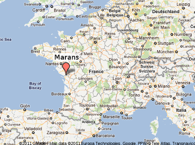 Cuckoo marans | Avian Aqua Miser