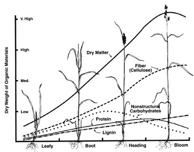 Pasture rotation | Avian Aqua Miser