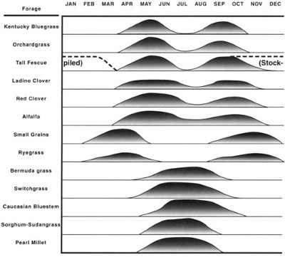 Pasture rotation | Avian Aqua Miser