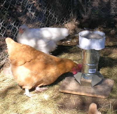 Low budget automatic chicken feeder | Avian Aqua Miser