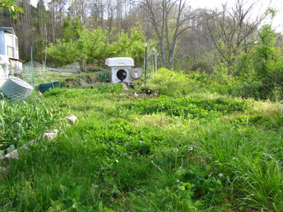 Preventing over-grazed chicken pastures | Avian Aqua Miser