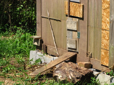 Chicken coop pophole | Avian Aqua Miser