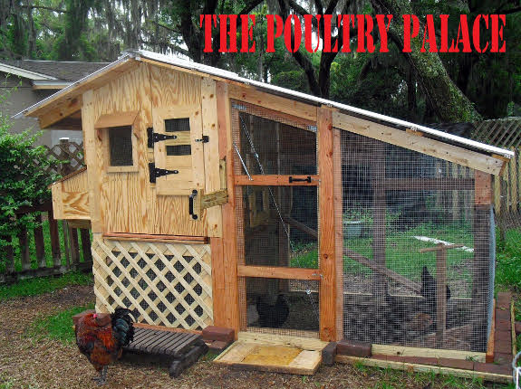 The poultry palace | Avian Aqua Miser