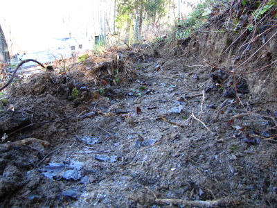 Terracing a chicken pasture part | Avian Aqua Miser