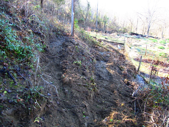 Terracing a chicken pasture part | Avian Aqua Miser