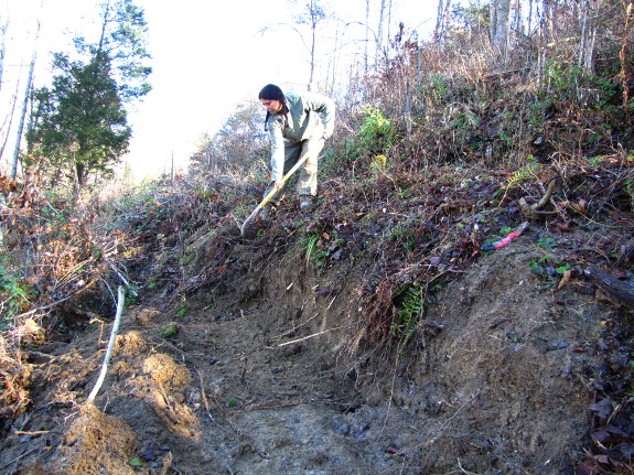 Terracing a chicken pasture part | Avian Aqua Miser