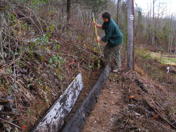 Holding the terrace banks in place | Avian Aqua Miser