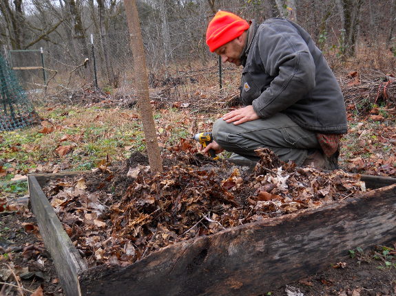 Mulching trees in the chicken pasture | Avian Aqua Miser