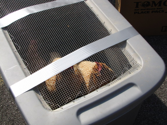 More chicken carriers and temporary enclosures | Avian Aqua Miser