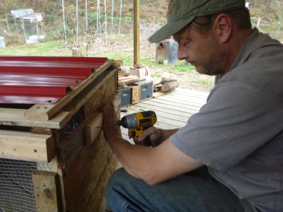 Making a chicken isolation coop | Avian Aqua Miser