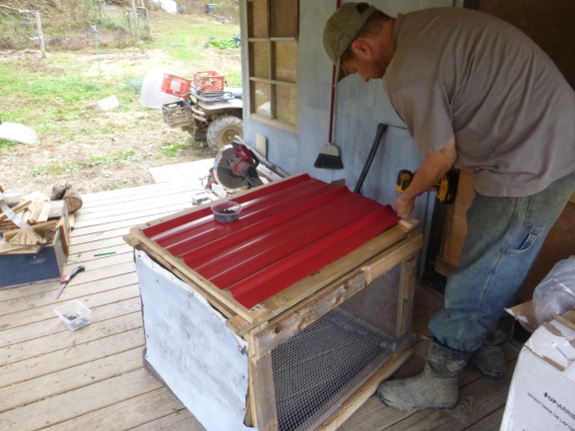 Making a chicken isolation coop | Avian Aqua Miser